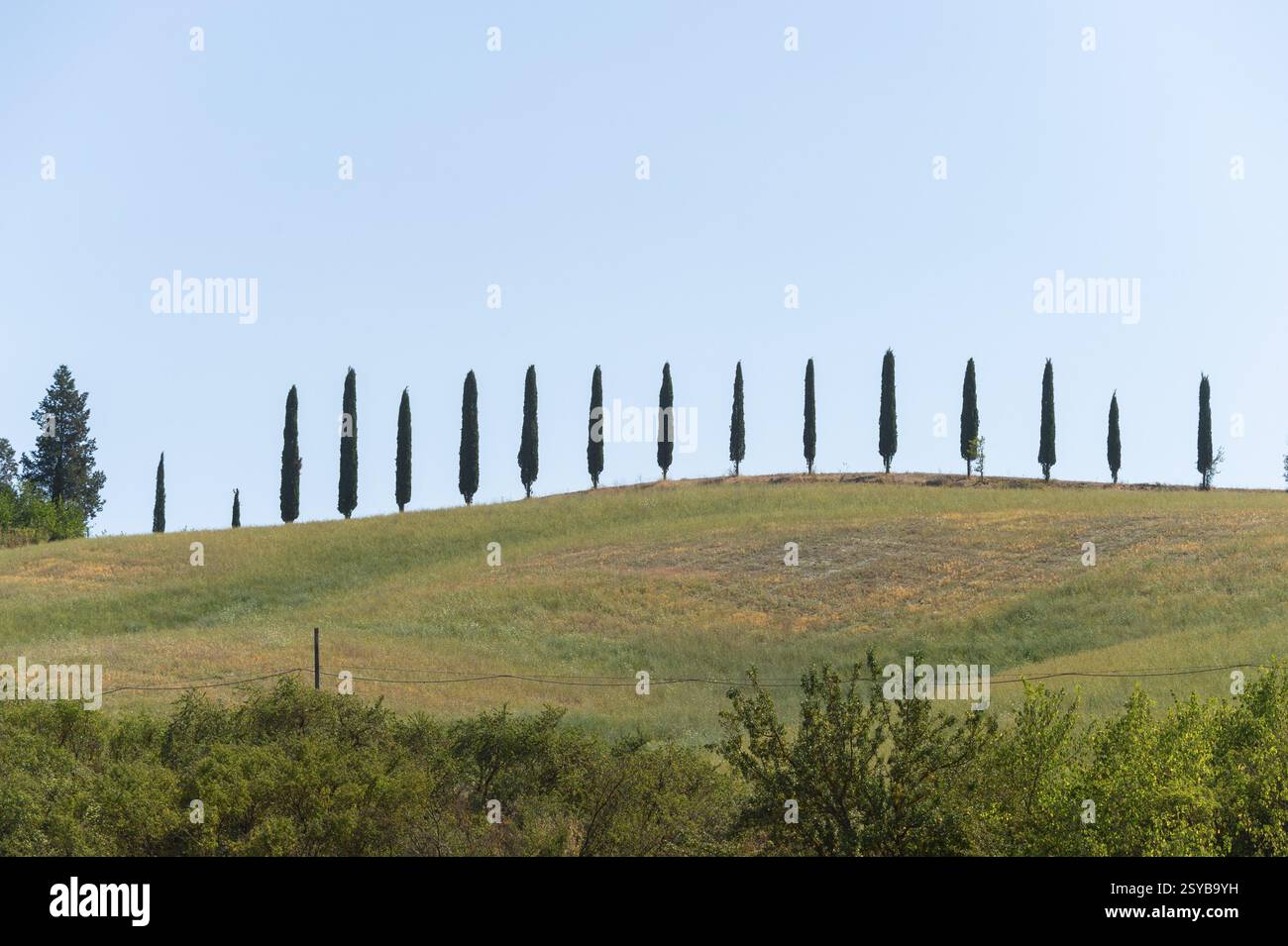 Cypress trees standing on top of a hill, Unesco world heritage site ...