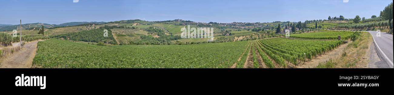 Tuscan landscape, country estate with vineyards, forests, olive trees ...