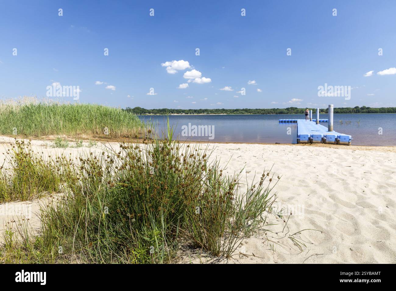 Pontoon jetty at the Dreiweiberner See bathing beach, Lusatian Lakeland ...
