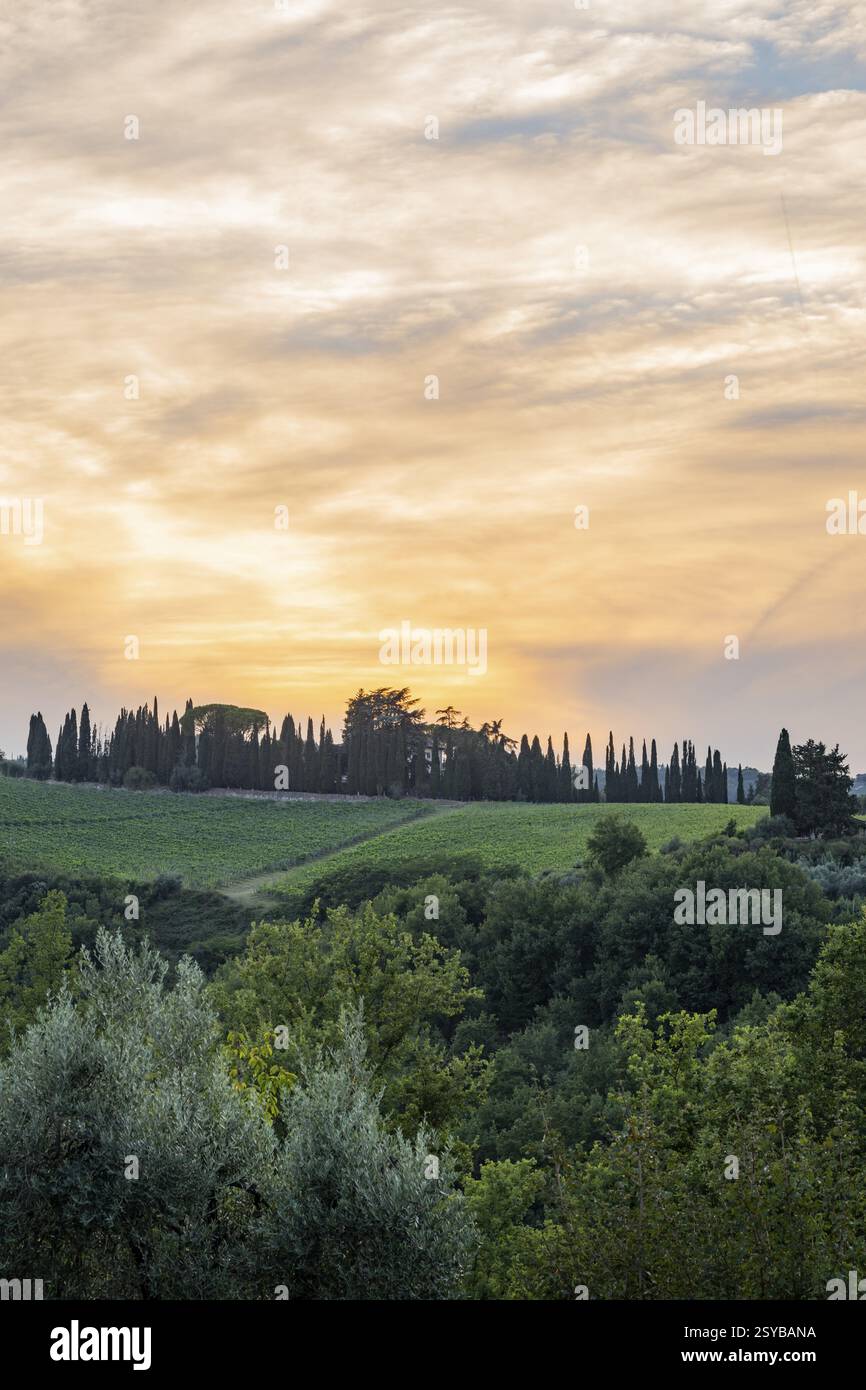 Tuscan landscape next to greve in Chianti and Montefioralle, country ...