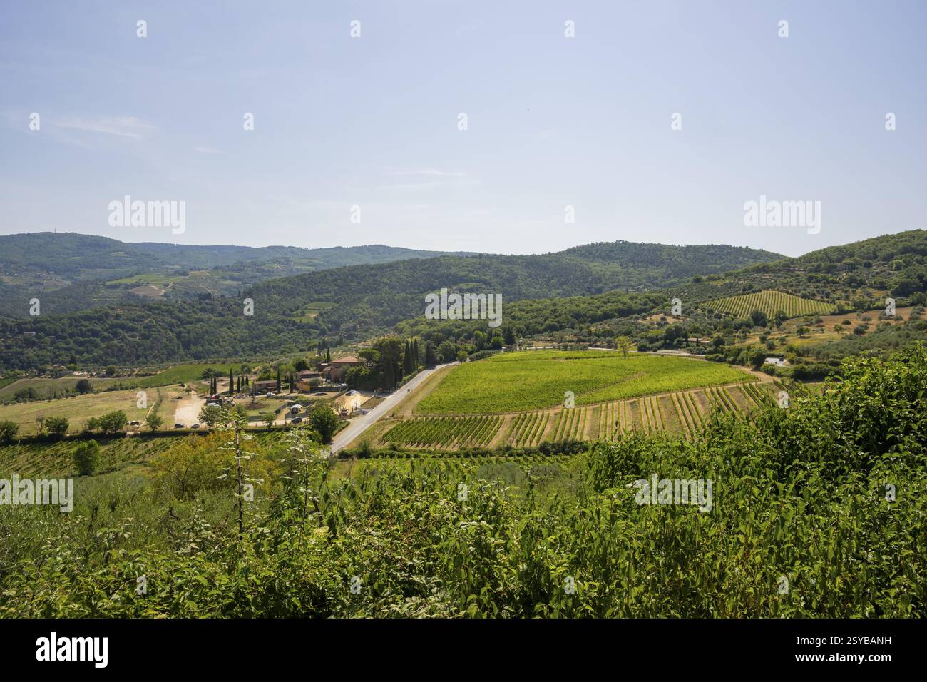 Tuscan landscape, country estate with vineyards, forests, olive trees ...