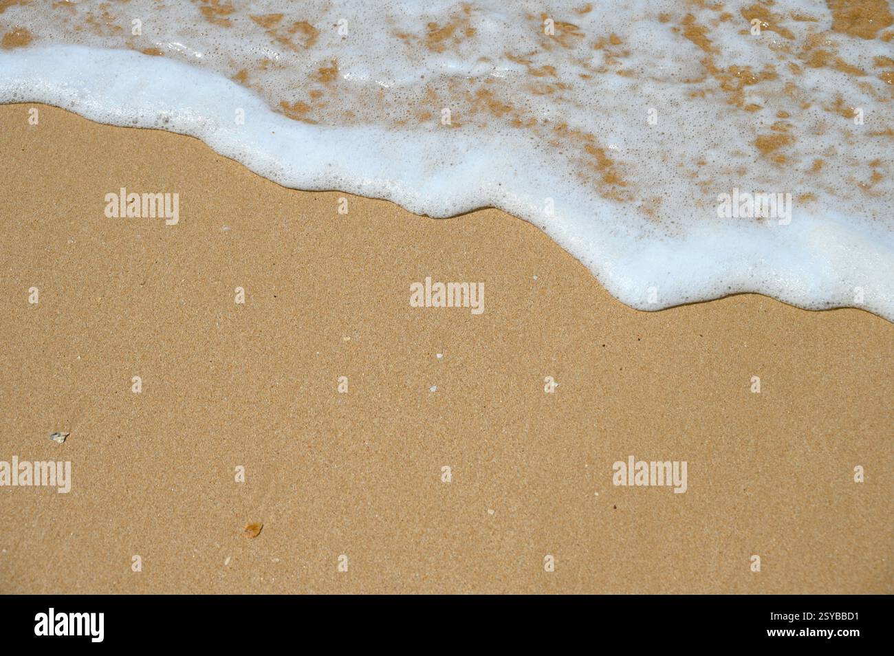 Gorgeous lacy ocean wave is surfing on sandy beach Stock Photo - Alamy