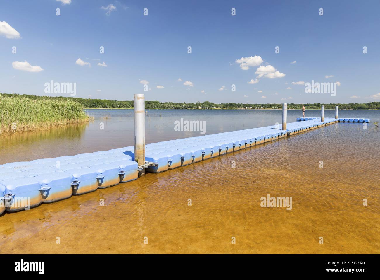 Pontoon jetty at the Dreiweiberner See bathing beach, Lusatian Lakeland ...
