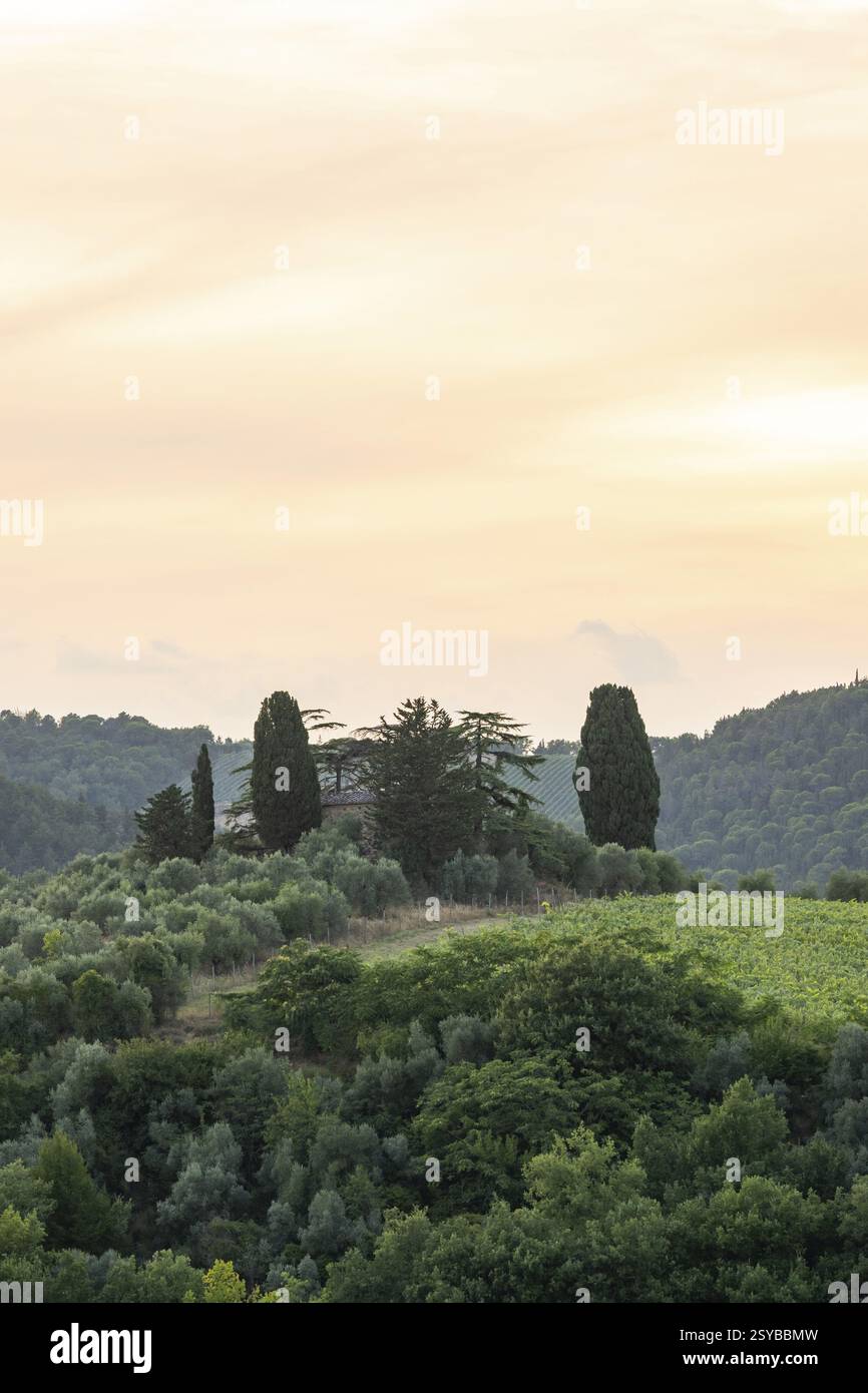 Tuscan landscape next to greve in Chianti and Montefioralle, country ...