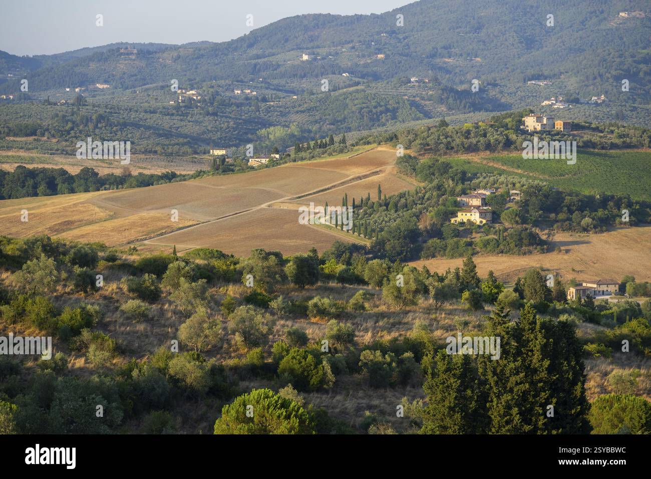 Tuscan landscape, country estate with vineyards, forests, olive trees ...