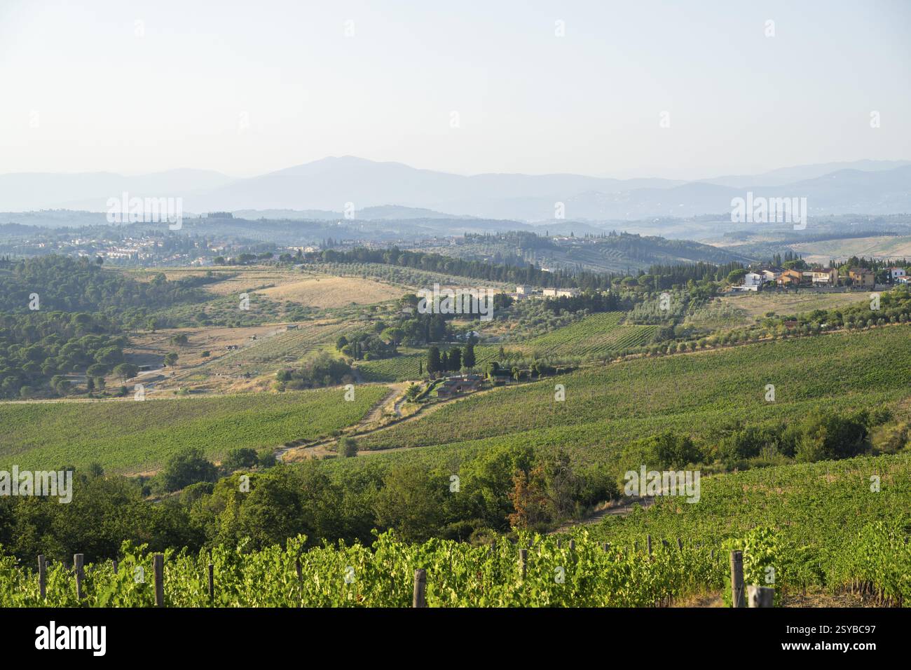 Tuscan landscape, country estate with vineyards, forests, olive trees ...