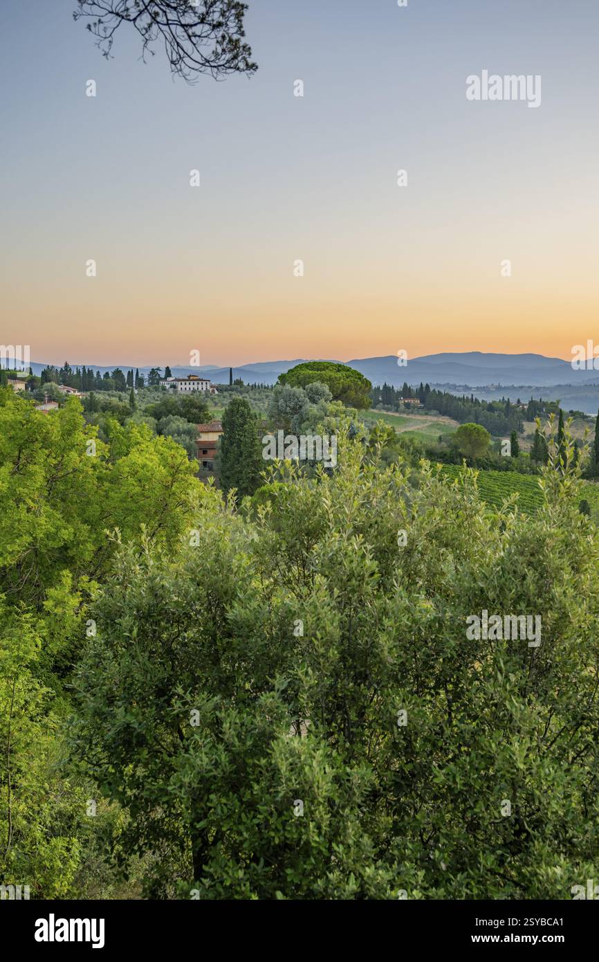 Tuscan landscape at sunrise, country estate with vineyards, forests ...