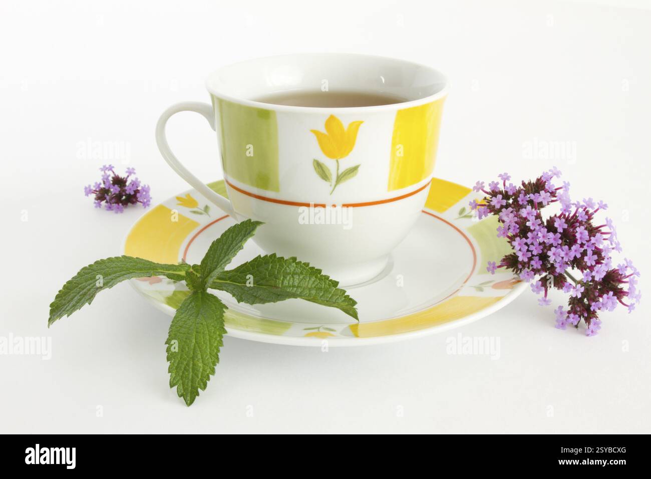 Cup of tea, verbena tea, verbena (Verbena bonariensis), herbal medicine ...