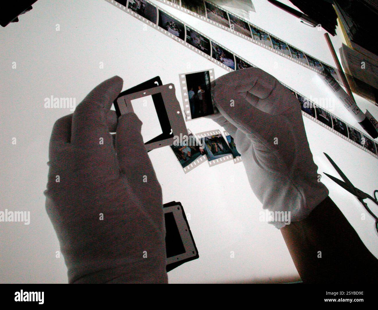 analog photography as a hobby, taking pictures as a leisure activity ...