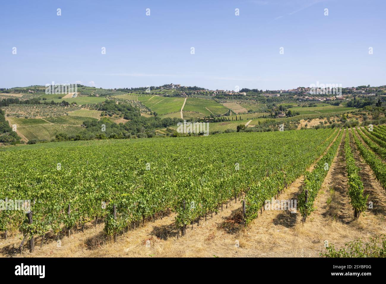 Tuscan landscape, country estate with vineyards, forests, olive trees ...