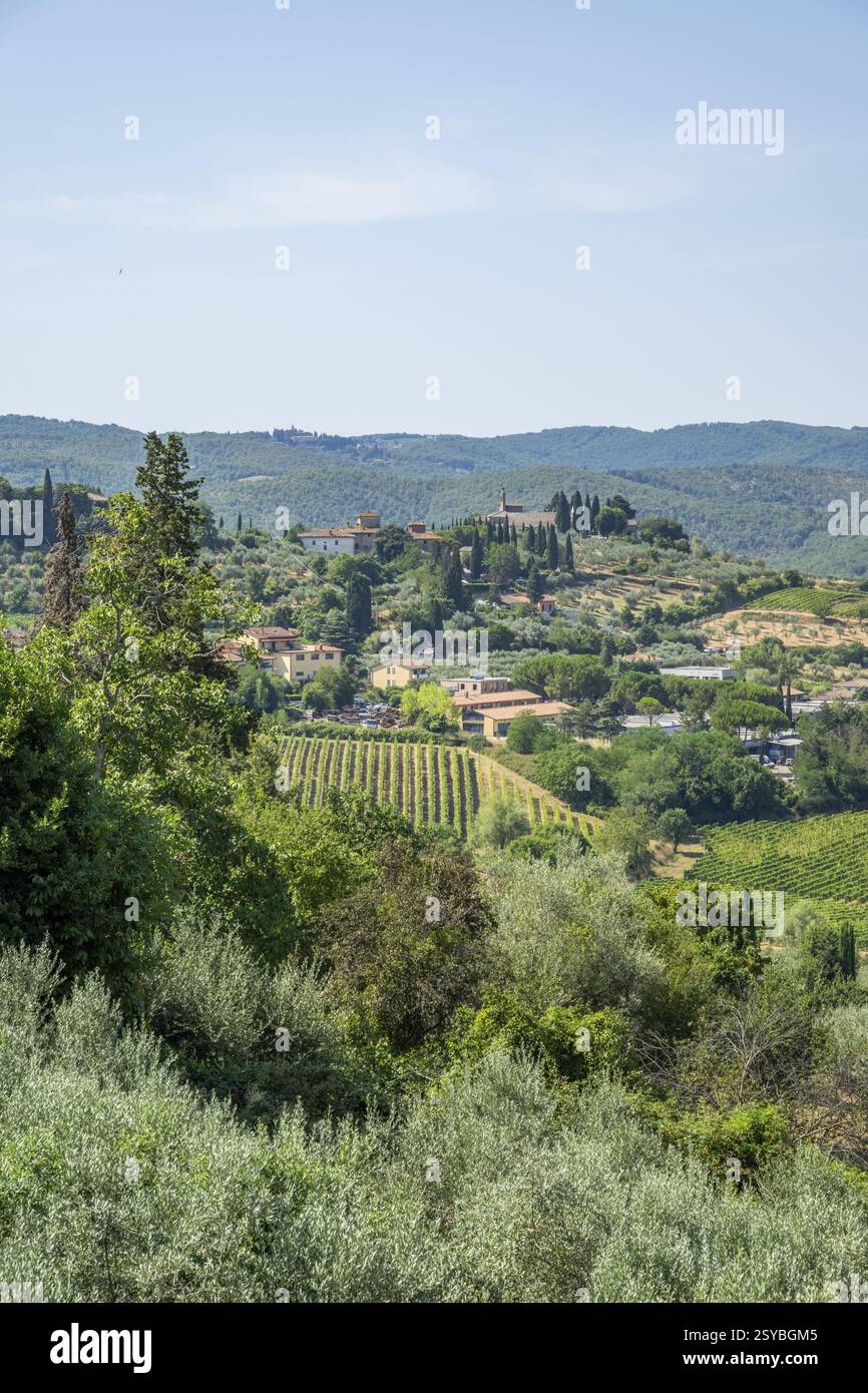 Tuscan landscape, country estate with vineyards, forests, olive trees ...