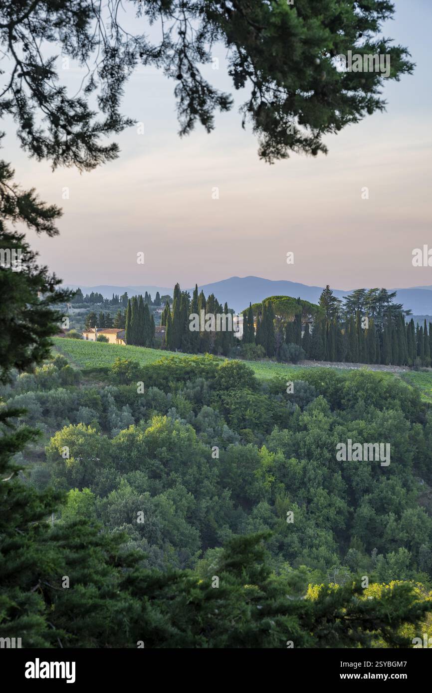 Tuscan landscape next to greve in Chianti and Montefioralle, country ...