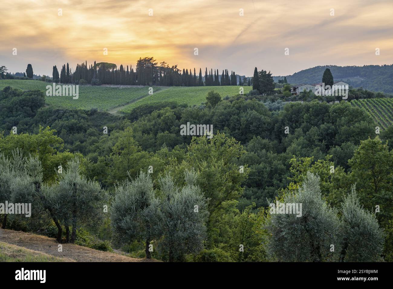 Tuscan landscape next to greve in Chianti and Montefioralle, country ...