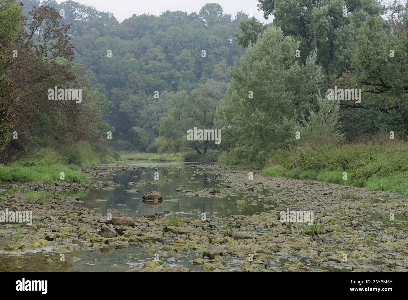 Low water level in the Jagst valley near Kirchberg, Jagst, midsummer ...