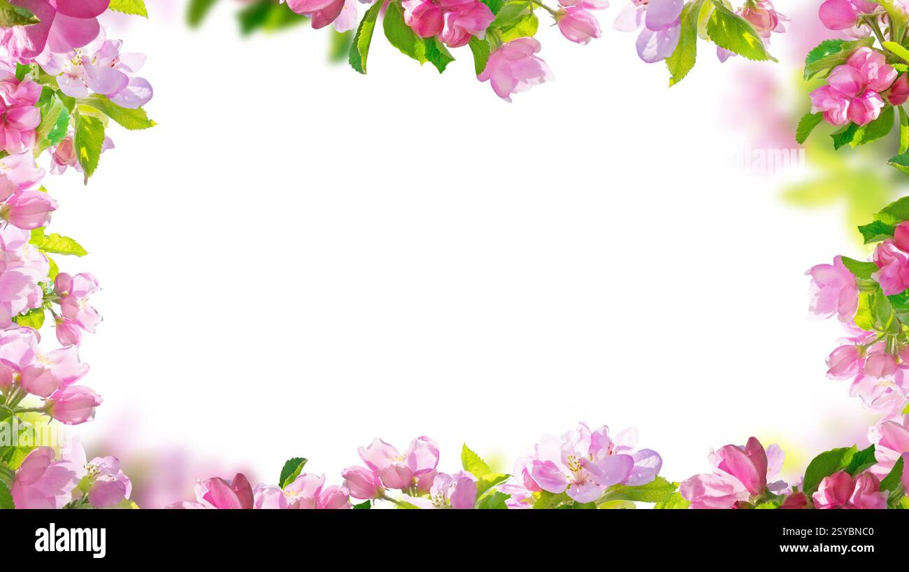 spring branches of flowers frame background, pink blossoms branches ...