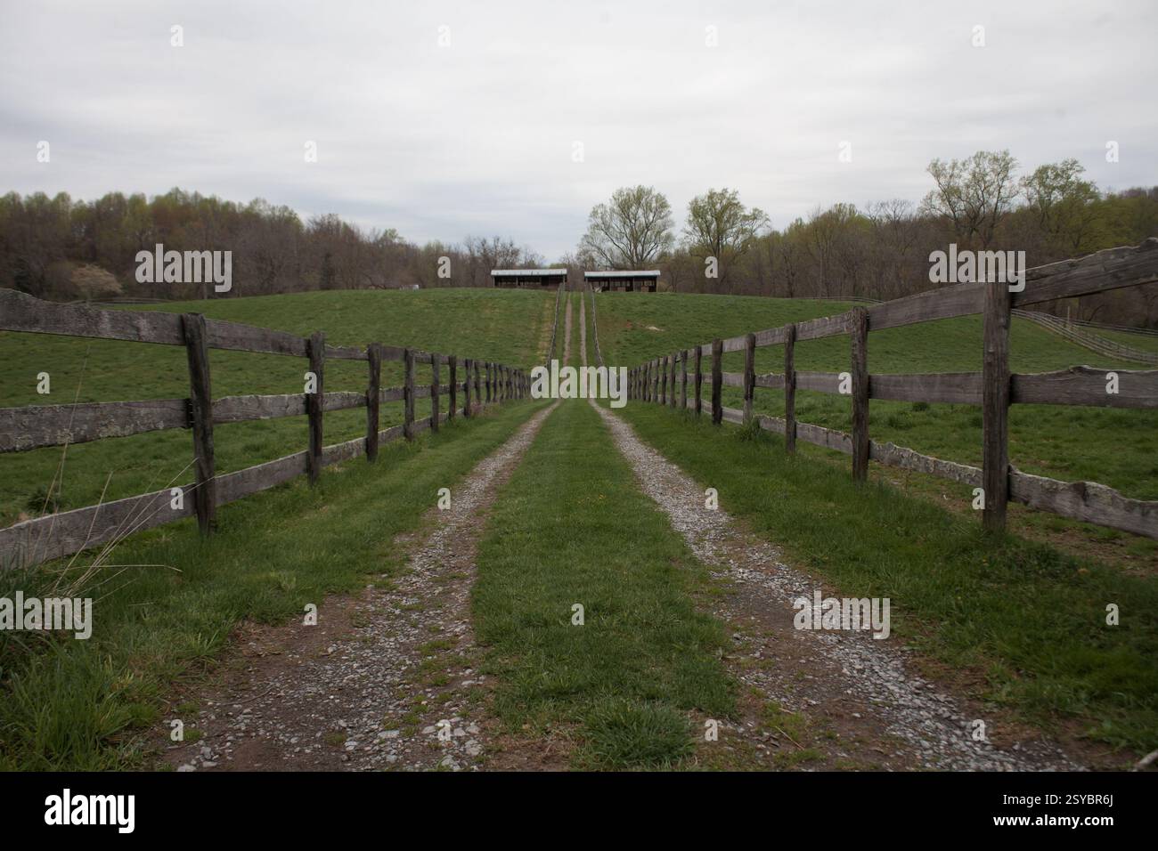 A gravel driveway weathered wooden fences, leads uphill to open-sided ...
