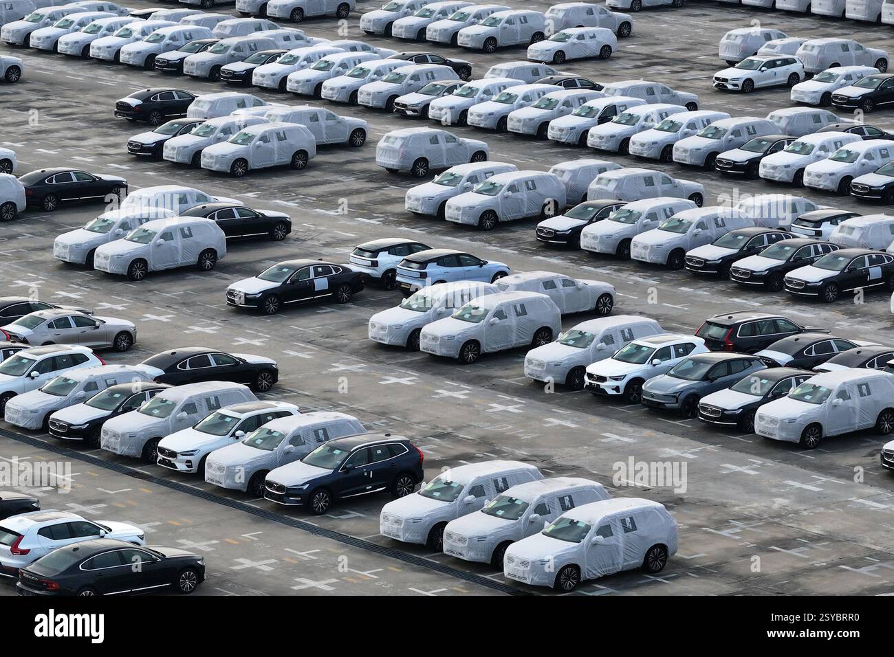 Volvo cars are seen at the Port of Nanjing in Nanjing, Jiangsu province ...