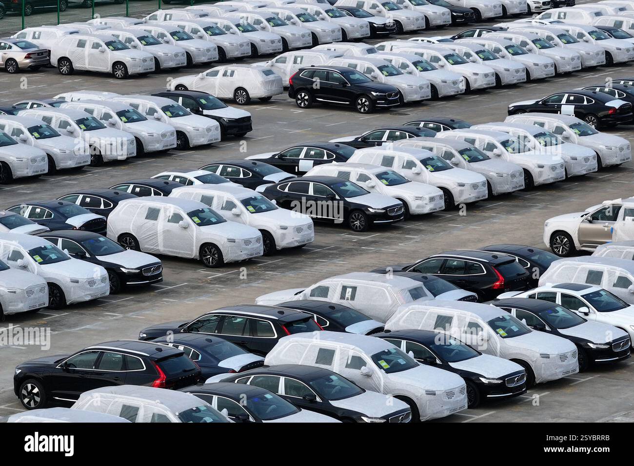 Volvo cars are seen at the Port of Nanjing in Nanjing, Jiangsu province ...