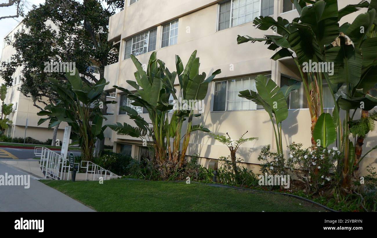 Beverly Hills, California, USA 27th February 2025 Actress Esther Fox ...