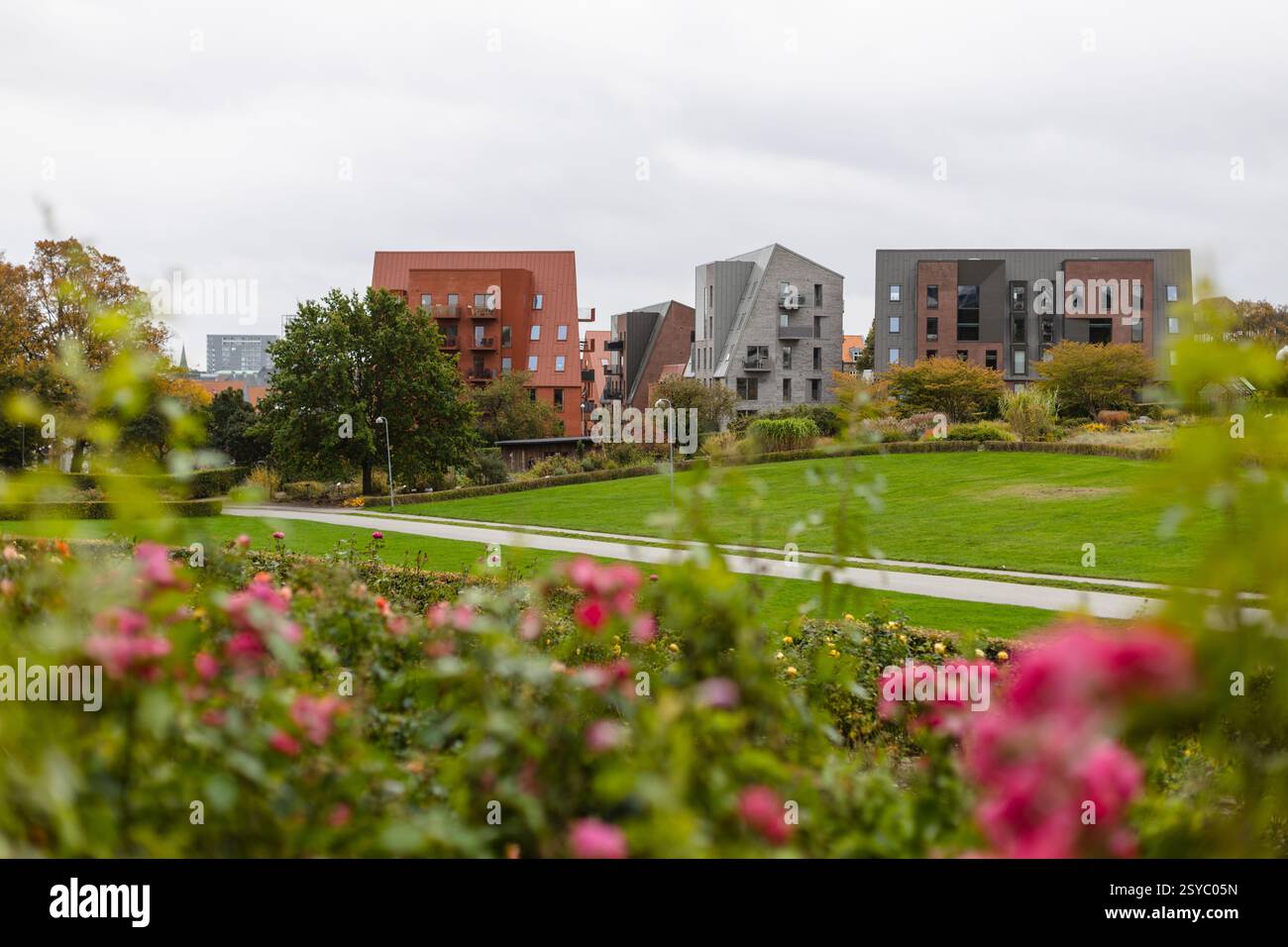 Modern residential buildings with green grass and roses on foreground ...
