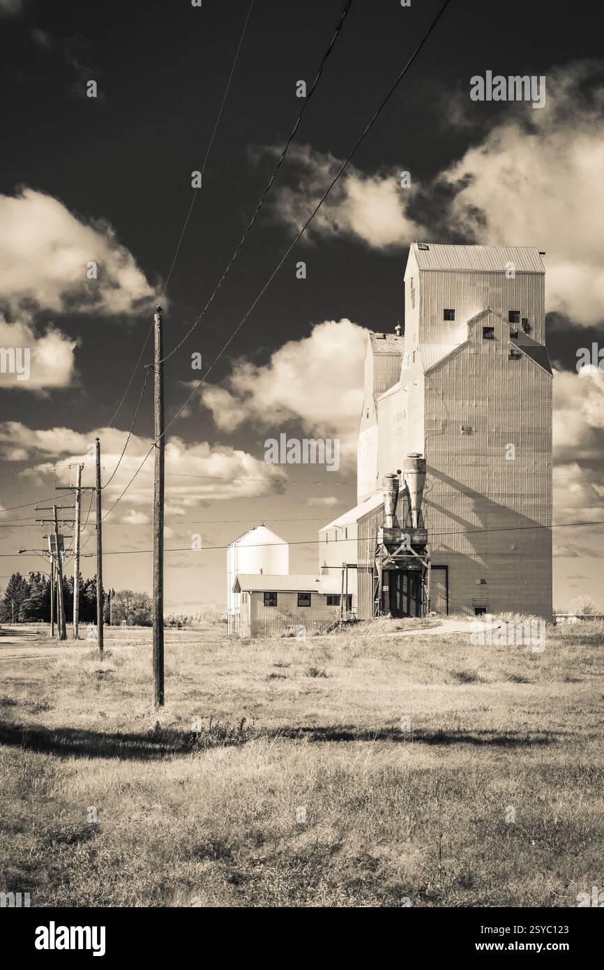 Grain silo is in the background of a field. The silo is surrounded by a ...