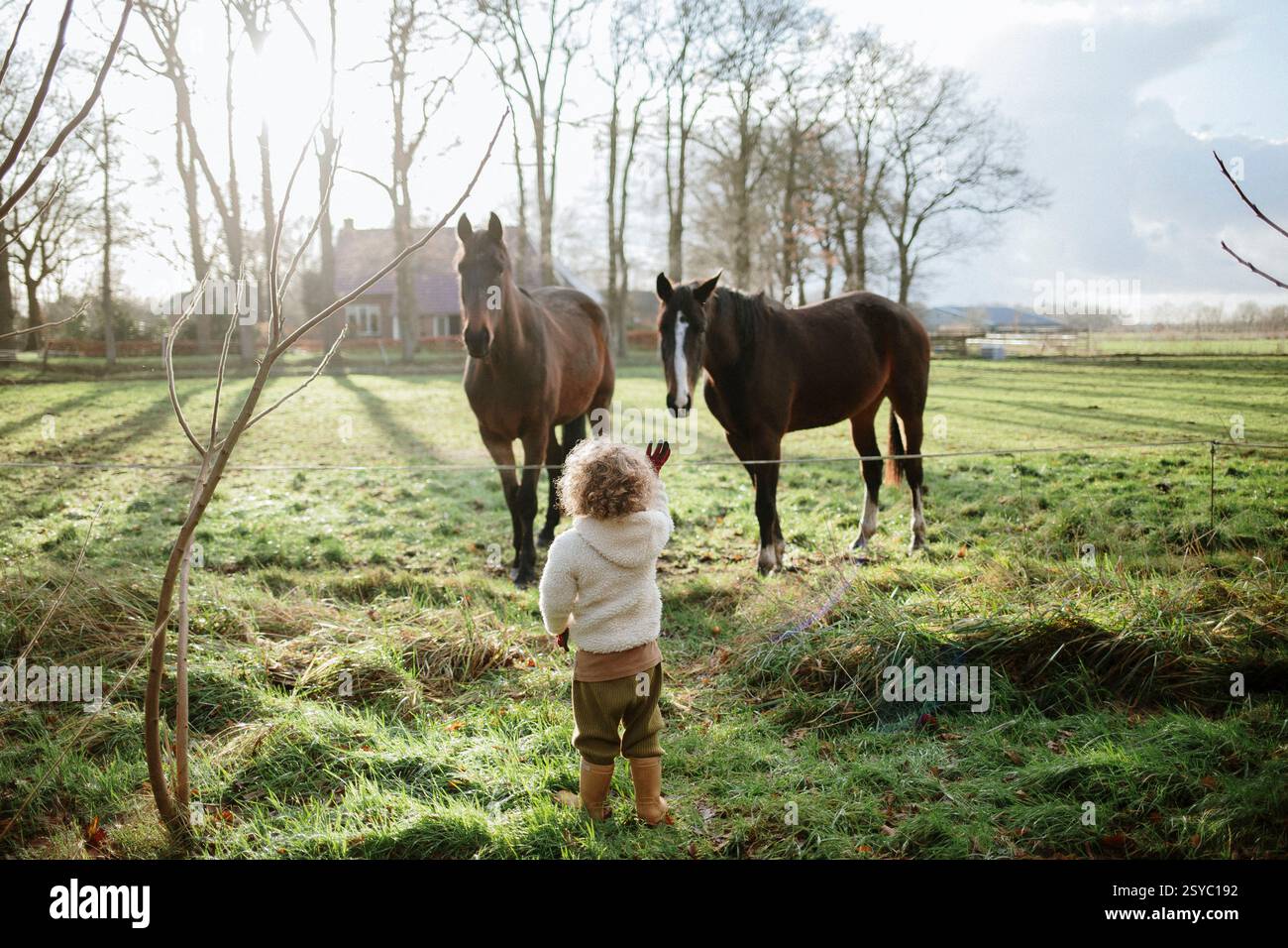 Two children interacting with horses on a sunny countryside farm Stock ...