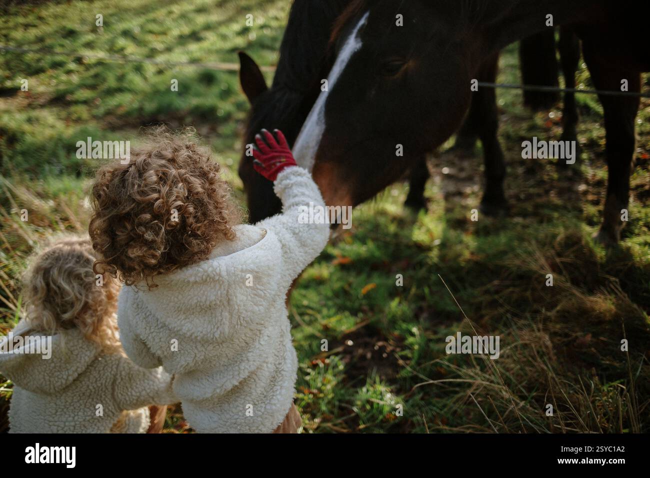 Two children interacting with horses on a sunny countryside farm Stock ...