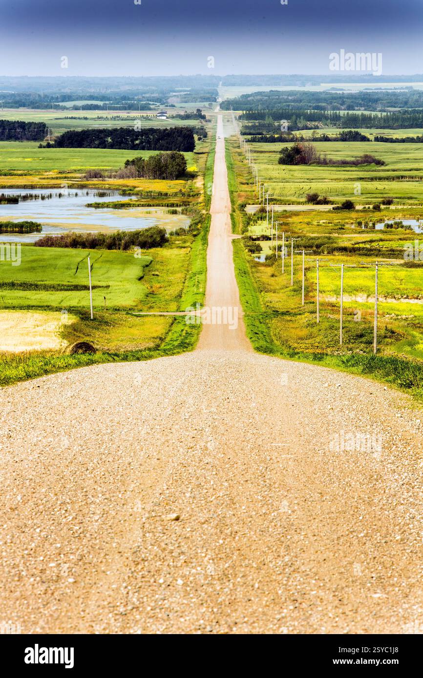 Long road with a dirt road in the middle. There are many trees in the ...
