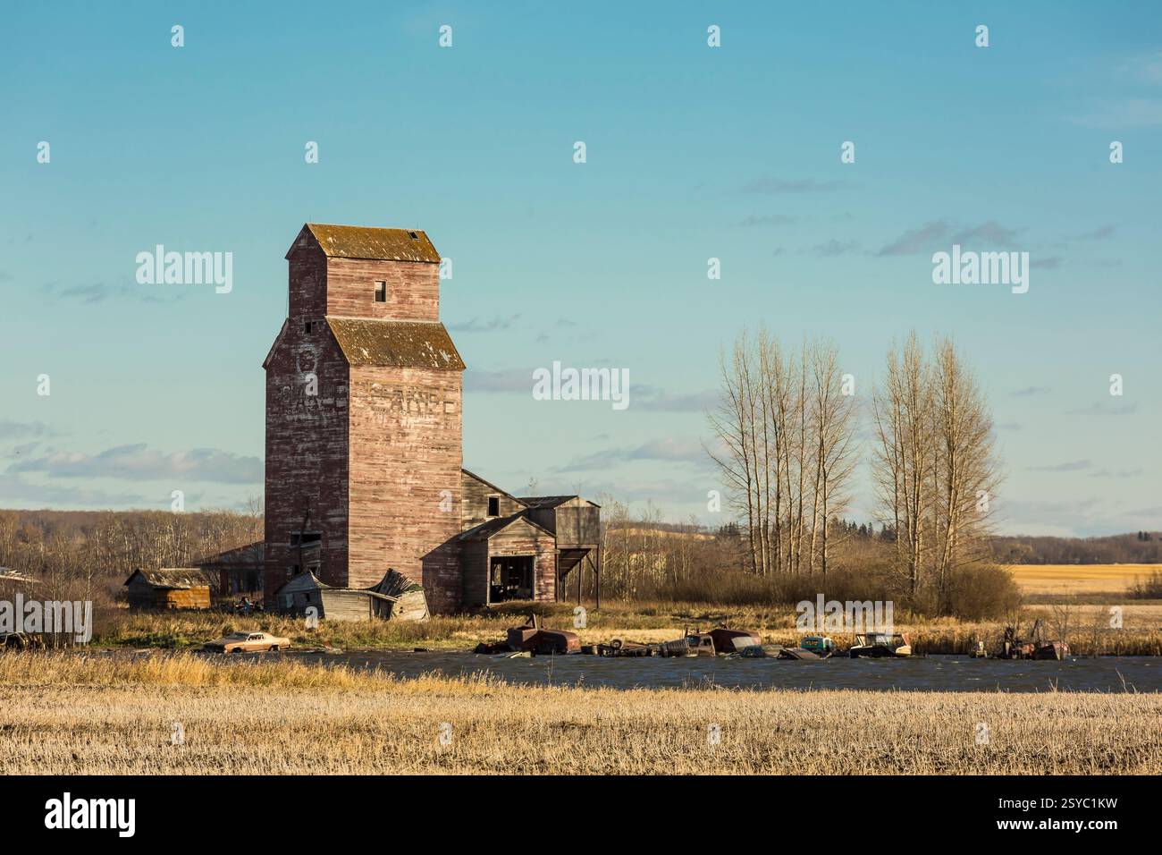 Grain silo is in the middle of a field. The silo is old and has a lot ...