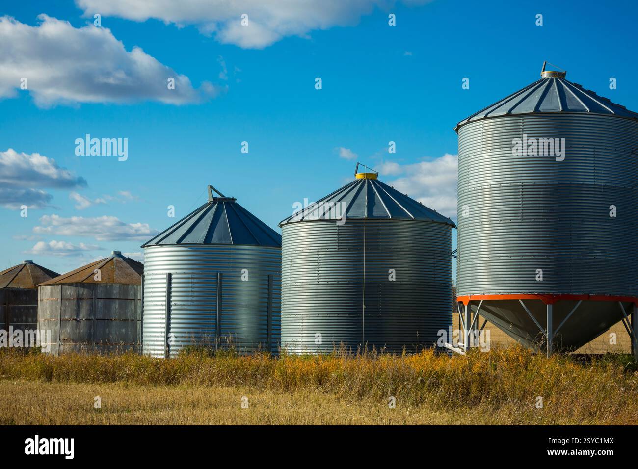 Three large metal tanks are sitting in a field. The tanks are silver ...