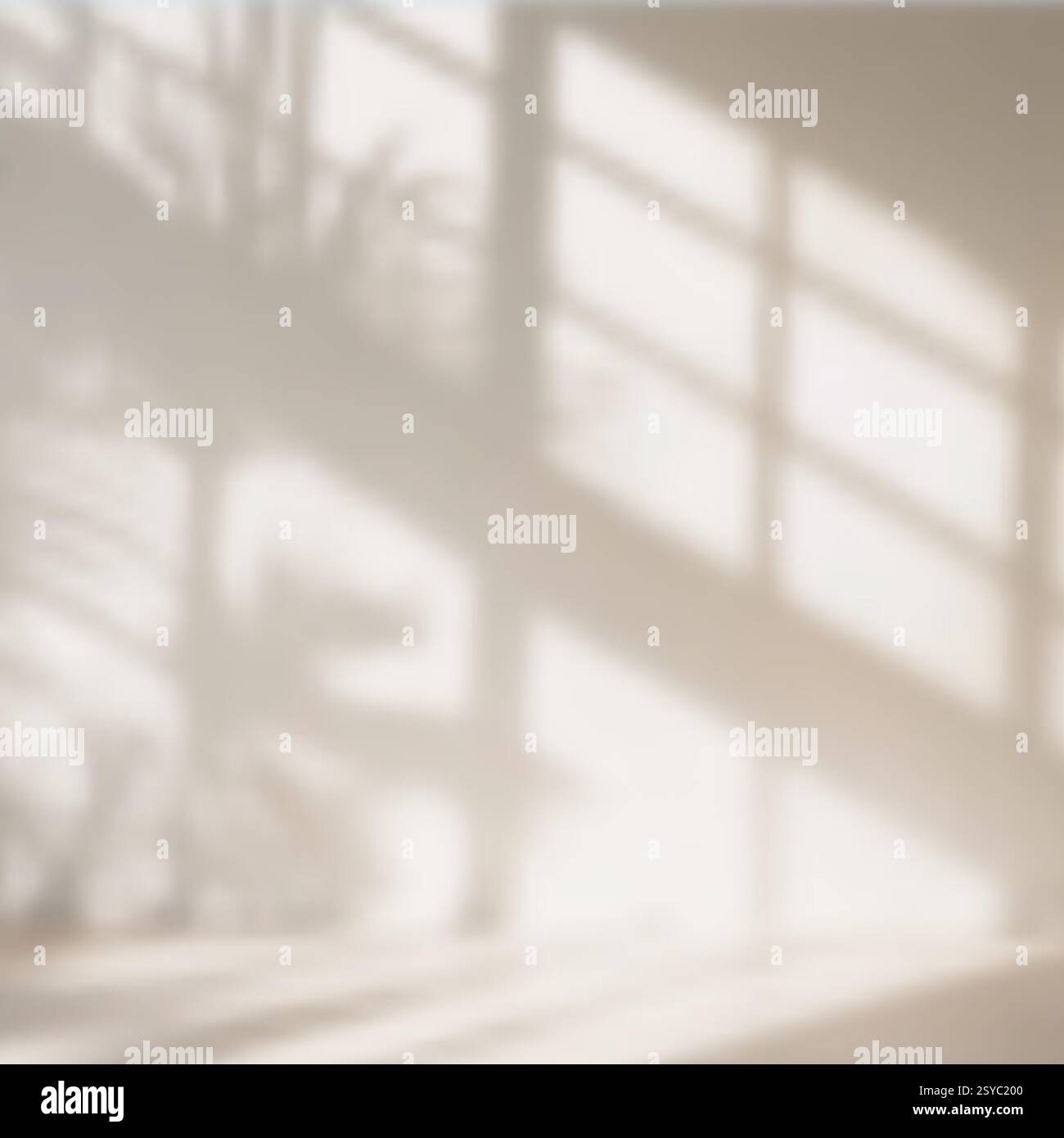 Window Shadow Overlay for Branding, Modern Minimalist Design, Organic ...