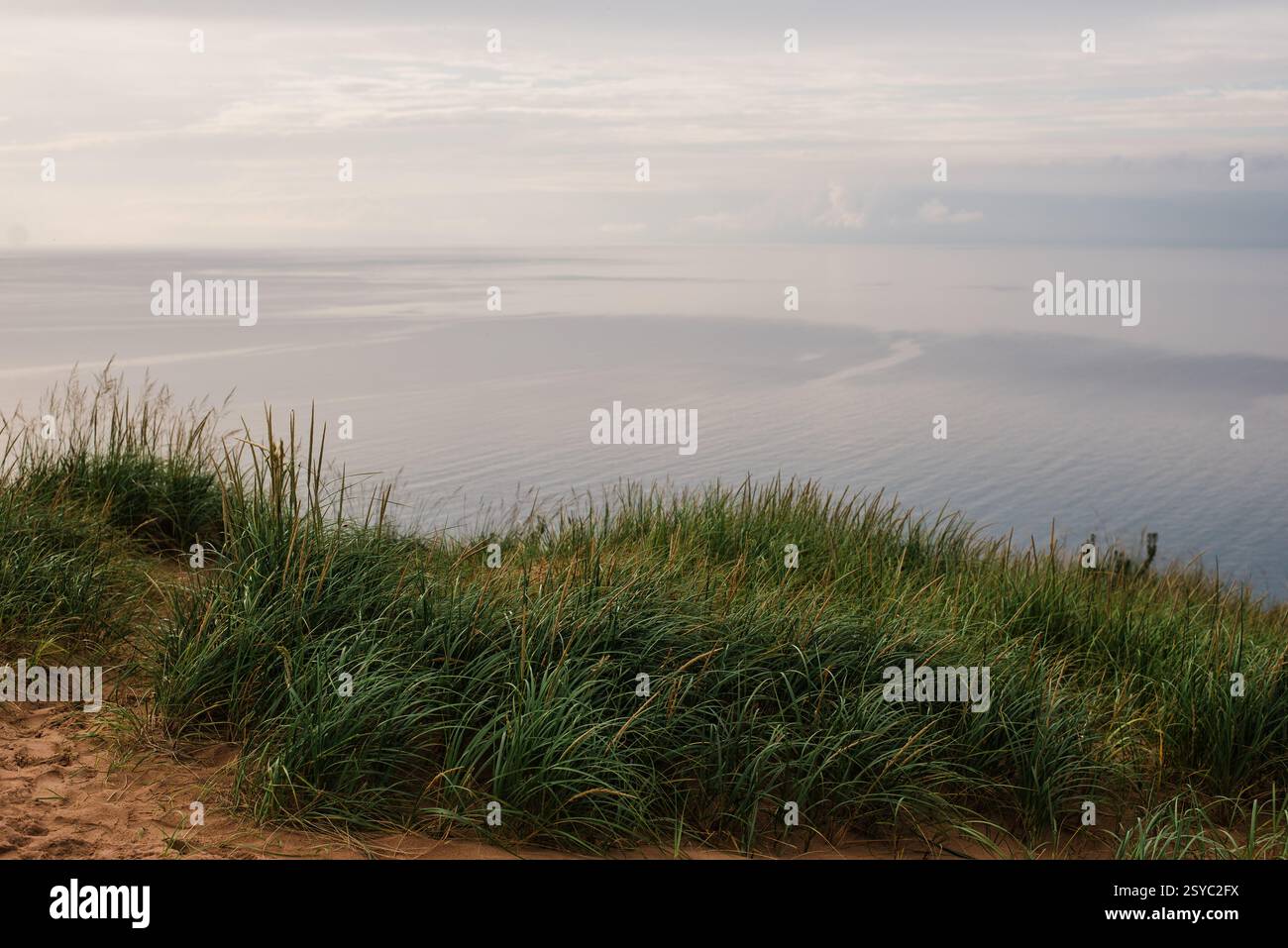 Nature's Overlook: Sand, Sky, and Water Stock Photo - Alamy