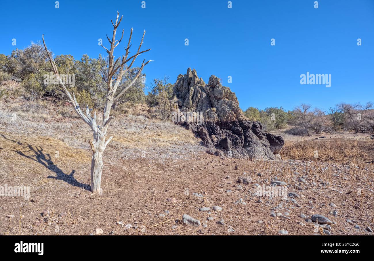 Johnson Canyon east of Bainbridge Steel Dam AZ Stock Photo - Alamy