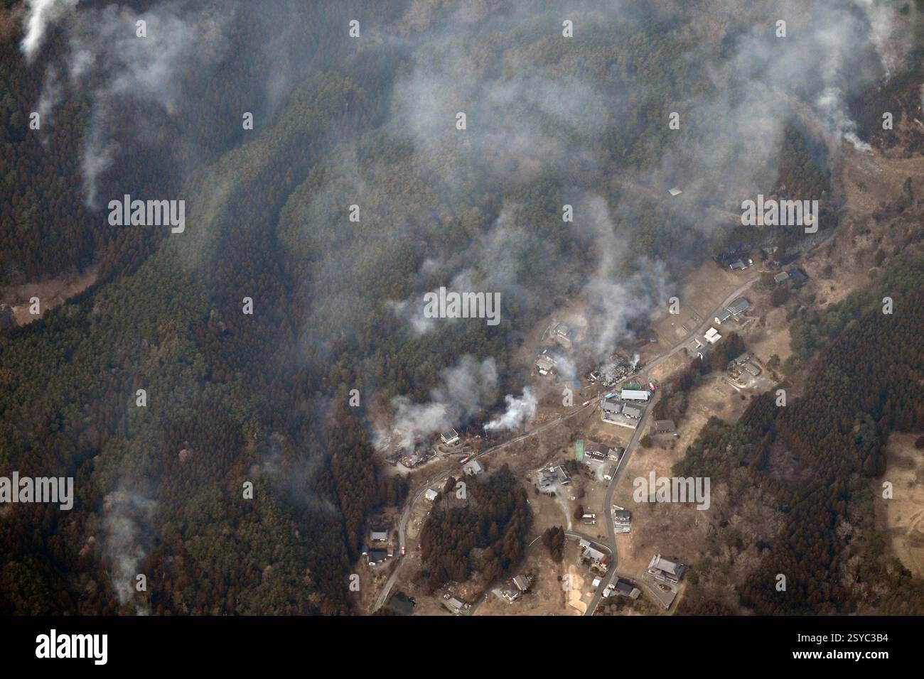 Aerial photo shows forest fire, February 28, 2025, in Ofunato City ...