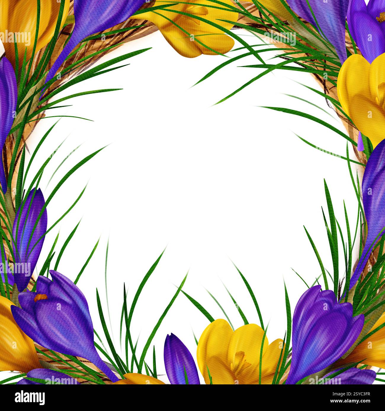 Easter square frame, banner, template with yellow and purple crocuses ...