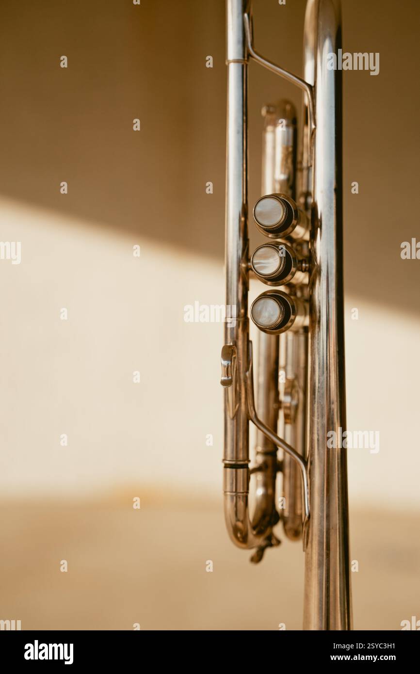 Close-up of a silver trumpet's valves and tubing in warm lighting Stock ...