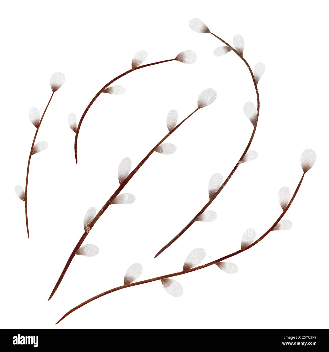 Clipart of spring easter willow branches. Watercolor digital ...