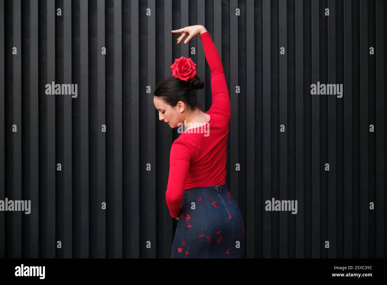 Young flamenco dancer performing with red rose and black background ...