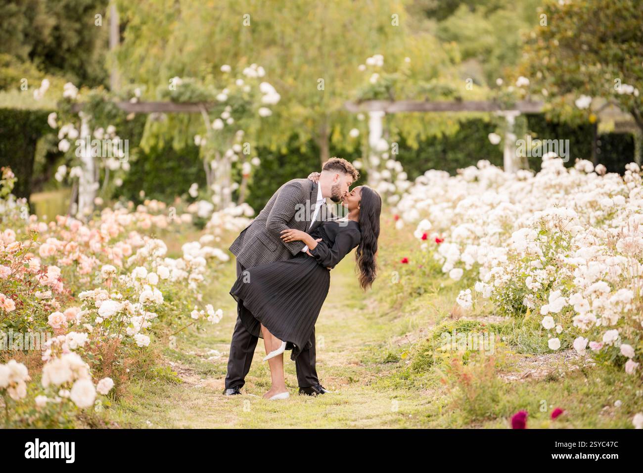 Romantic couple sharing a kiss during a dip Stock Photo - Alamy