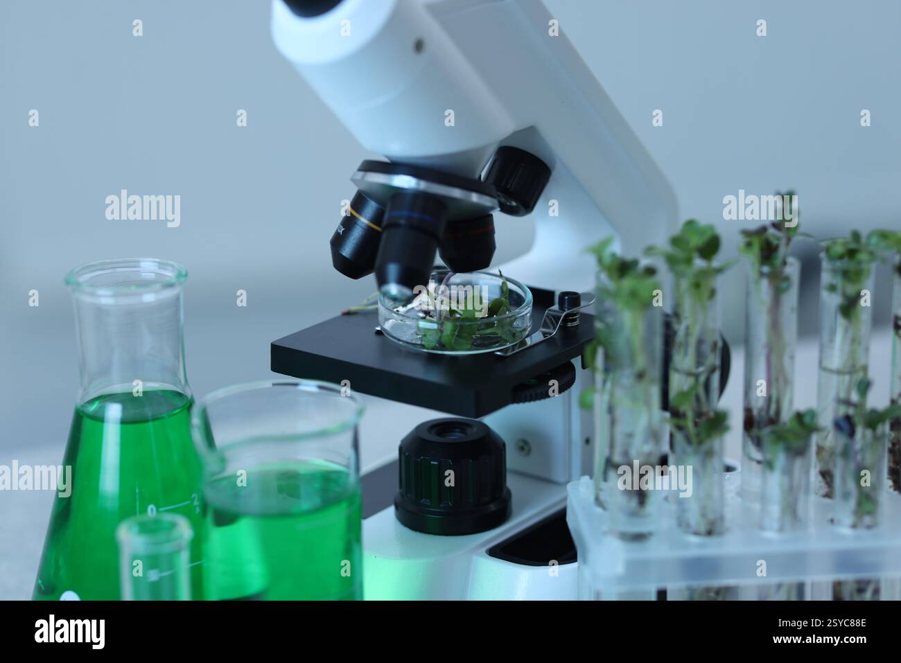 Biochemistry. Glassware with different liquids, plants and microscope ...