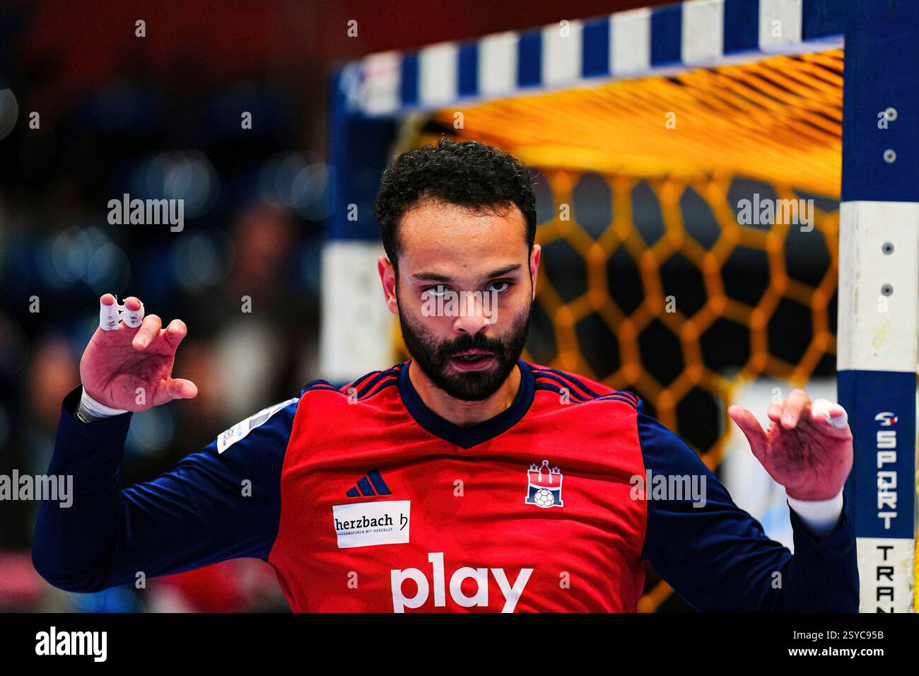 Hamburg, Deutschland. 27th Feb, 2025. Mohamed El-Tayar (Handball Sport ...