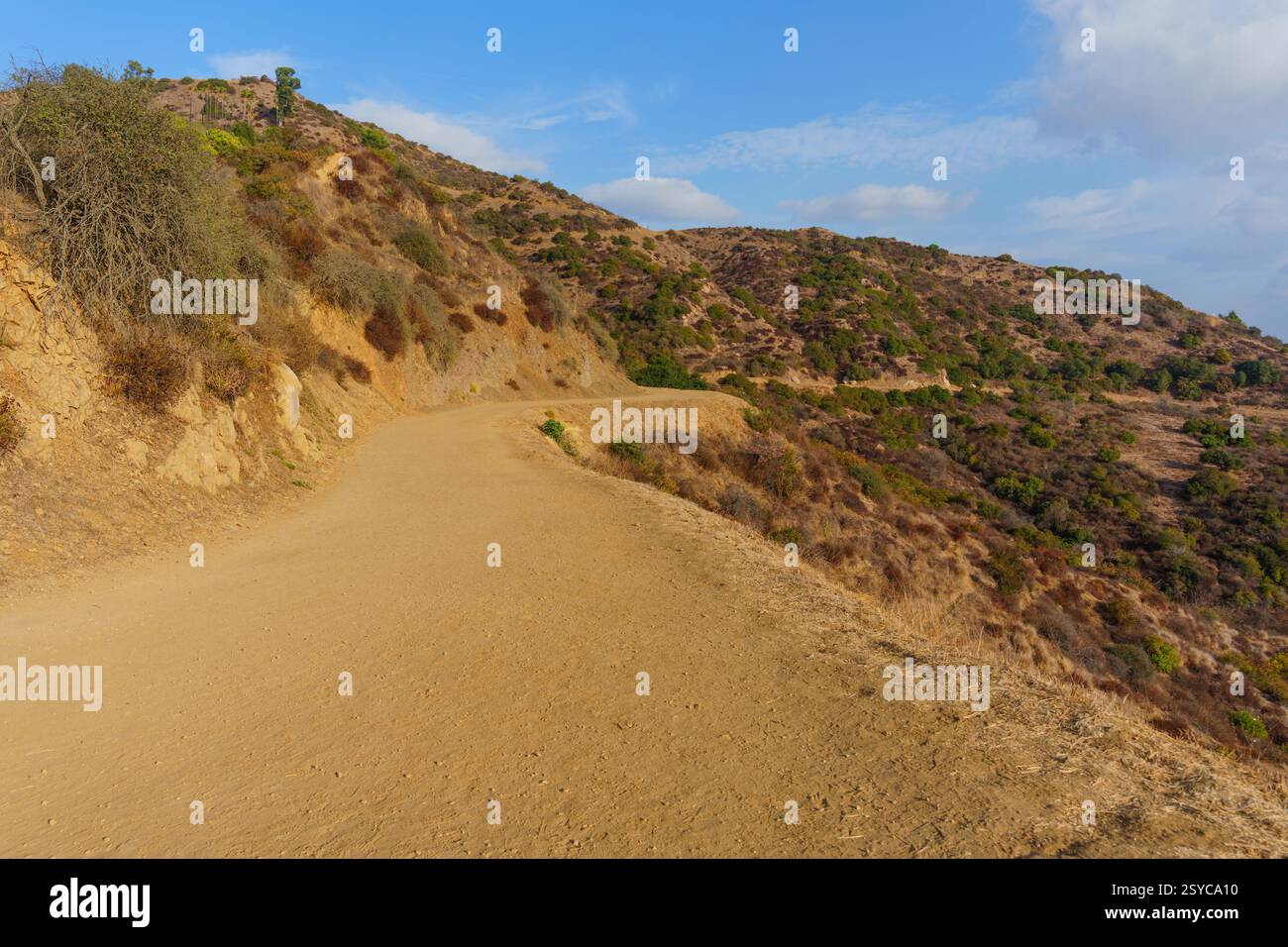 Curved dirt path winding through the hills of Griffith Park, showcasing ...
