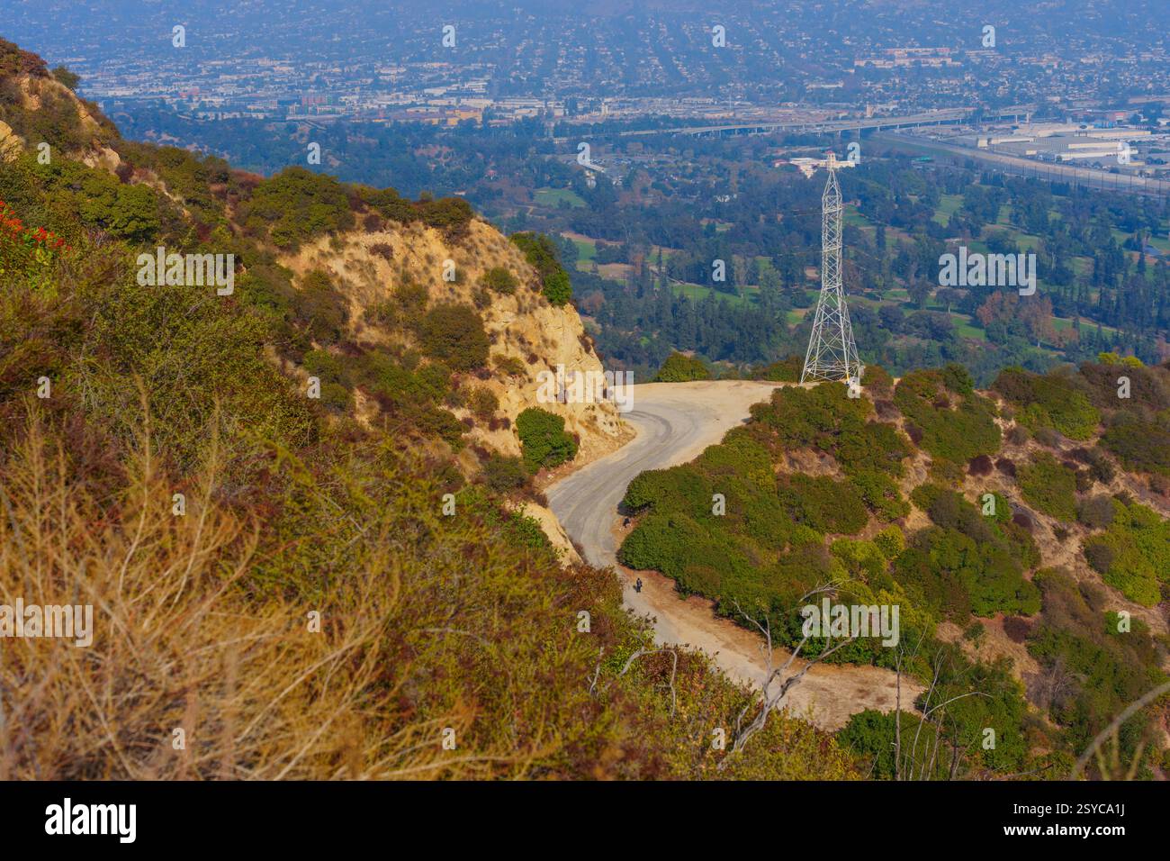 Winding road in Griffith Park, surrounded by lush greenery, leading to ...