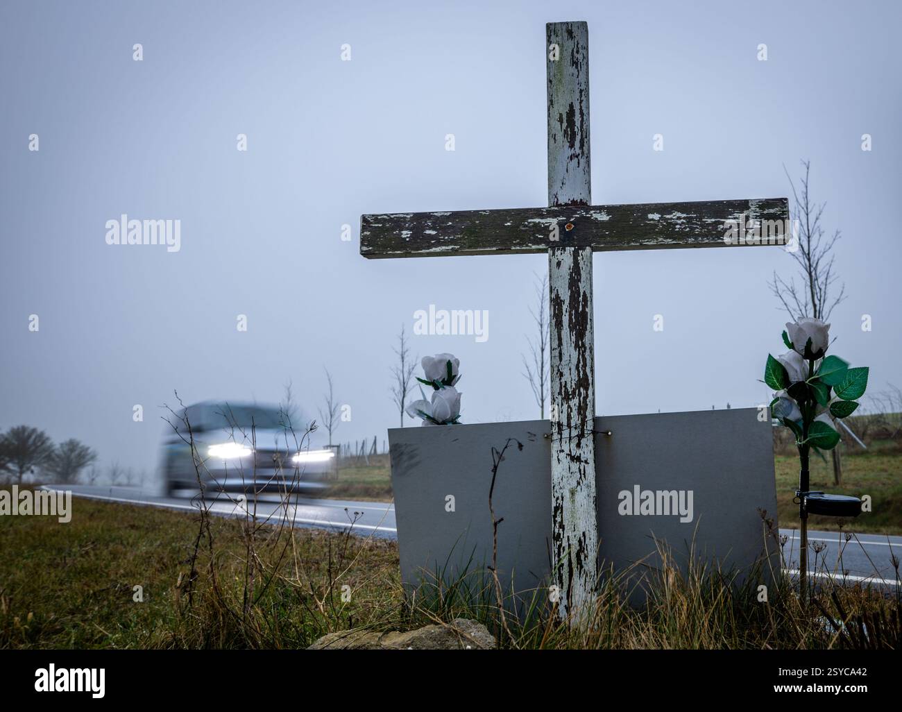 28 February 2025, Mecklenburg-Western Pomerania, Dorf Mecklenburg: A ...