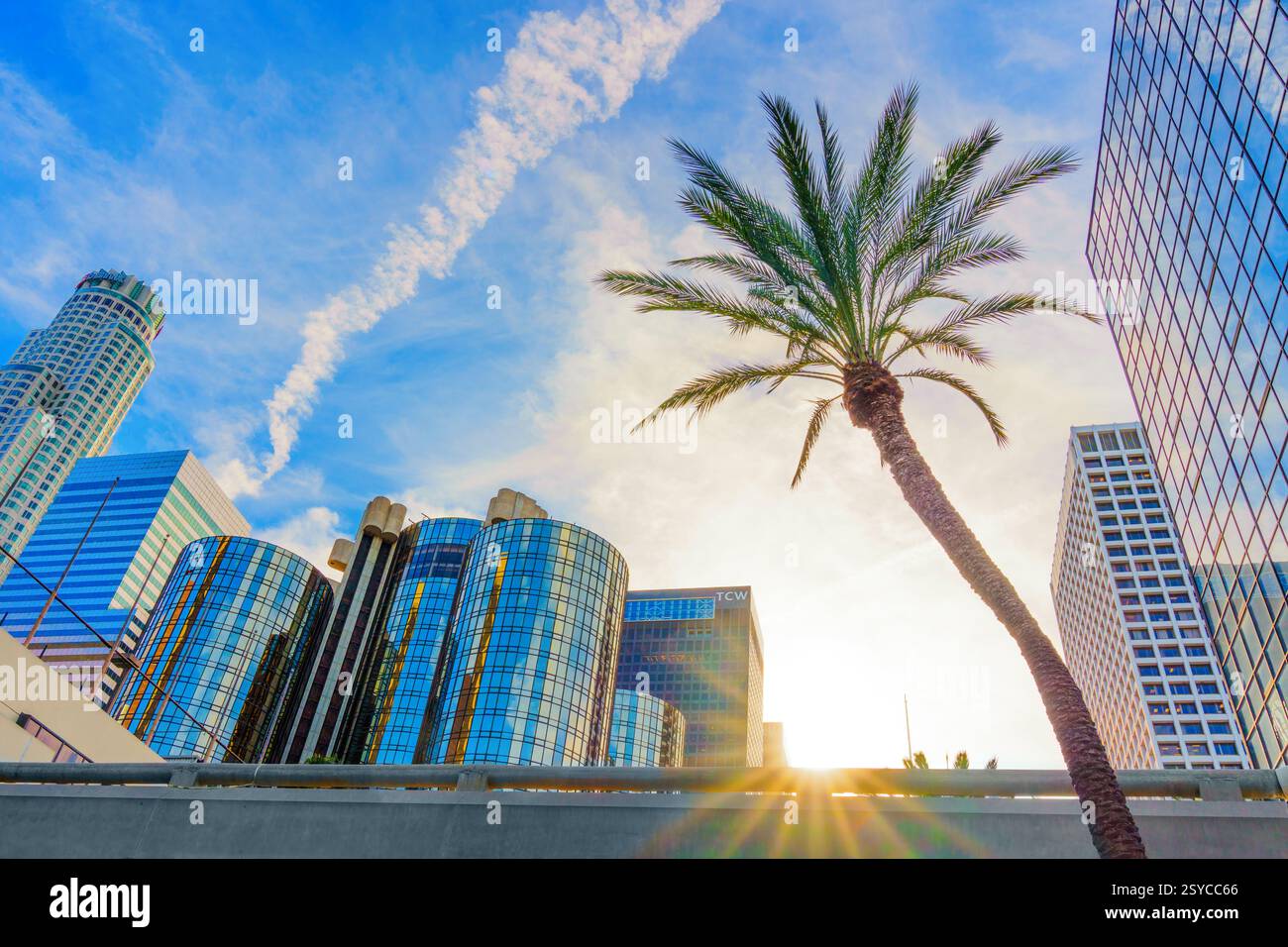 Los Angeles, California - January 7, 2025: Stunning view of palm trees ...