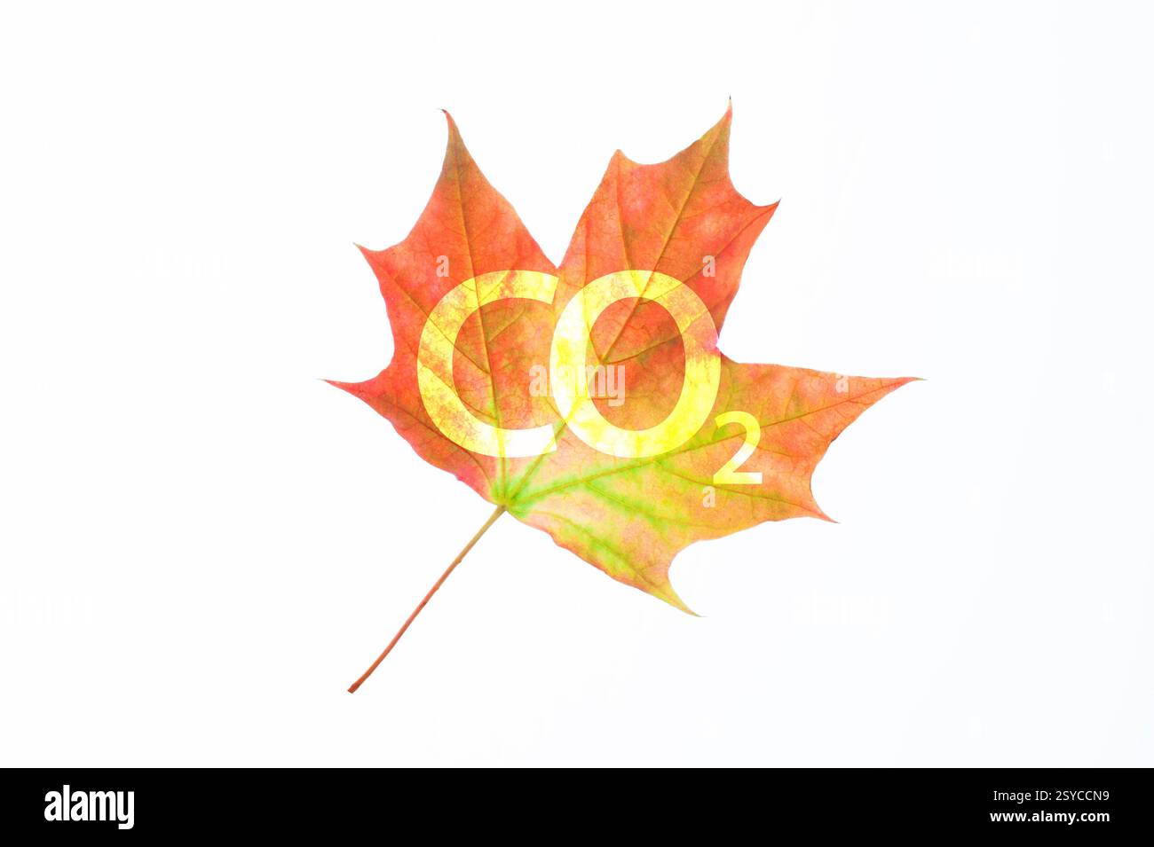 Red leaf with CO2 on white. The issue of carbon dioxide emissions ...