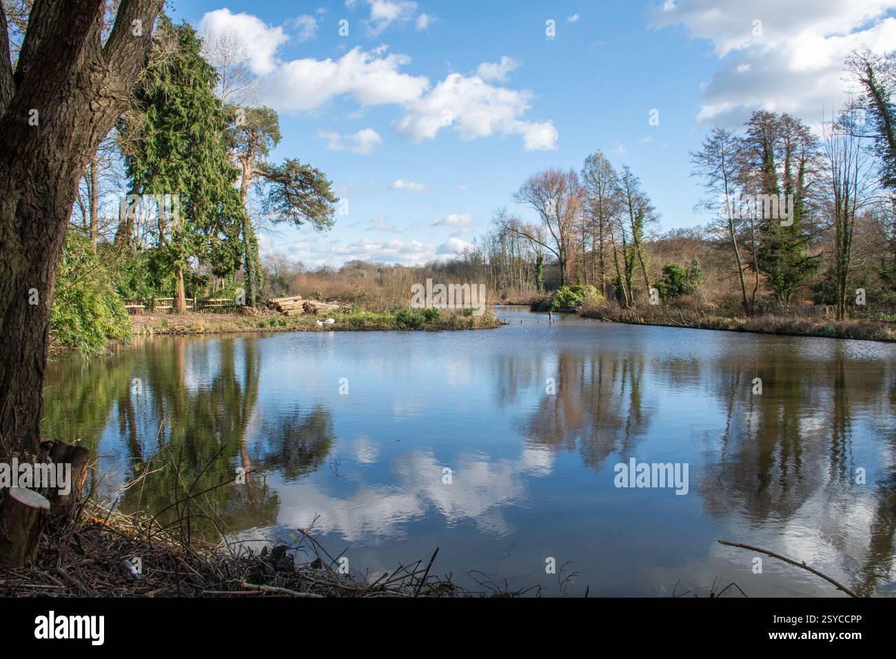 View of the lake in Broadwater Park near Farncombe, Godalming, Surrey ...