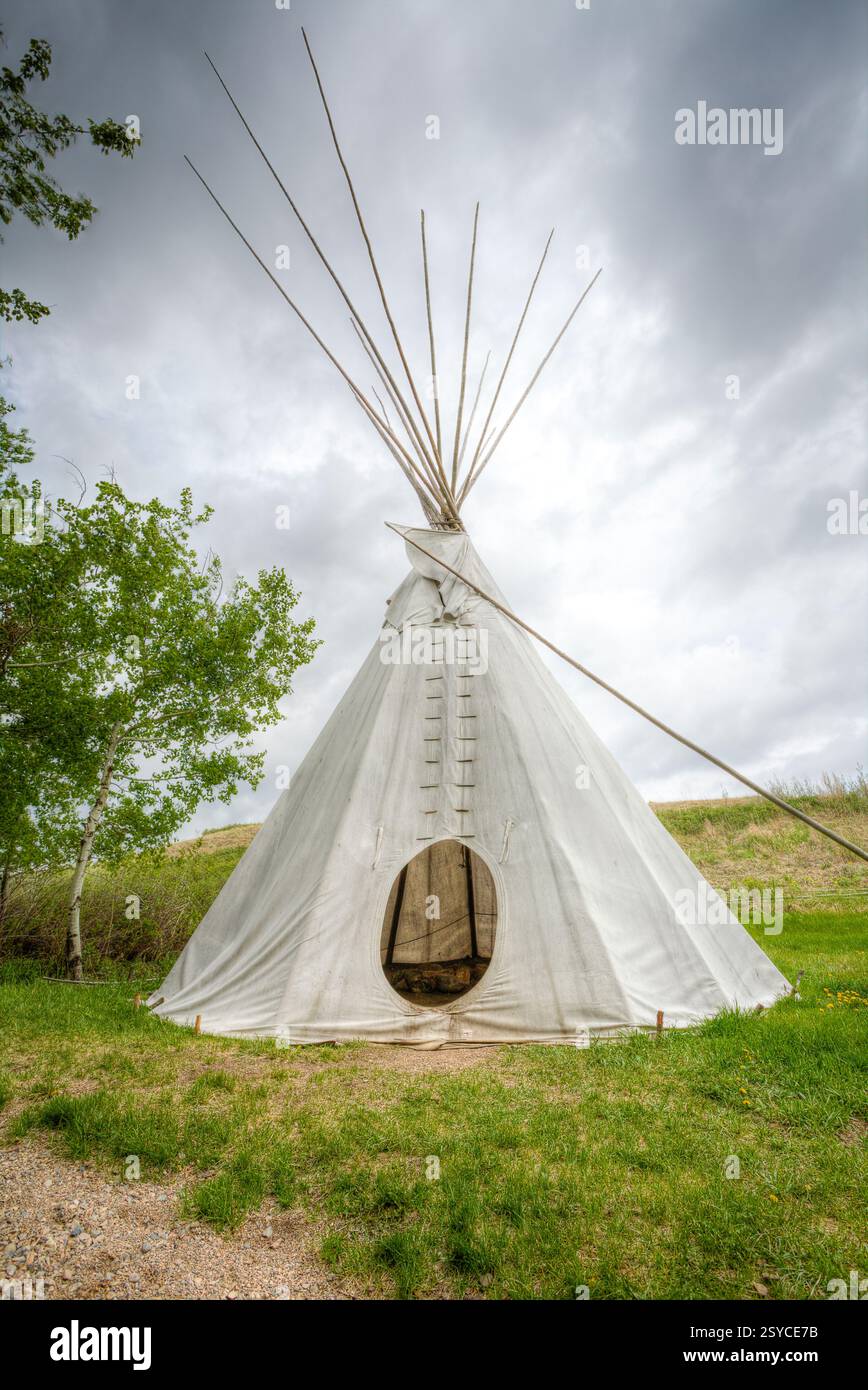 Teepee is standing in a grassy field. The teepee is white and has a ...