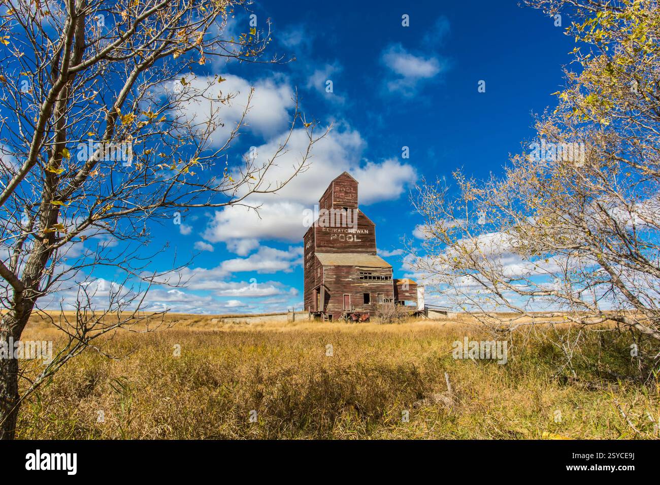 Large, old grain silo is in the middle of a field. The silo is ...