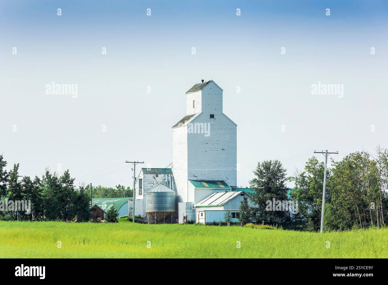 Large white grain silo is in the middle of a field. There are several ...